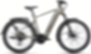 FLYER G1 Gotour 5.12 CX: test, prijzen en specificaties